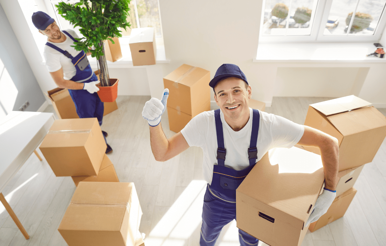 Thank You - Pro Kiwi Movers